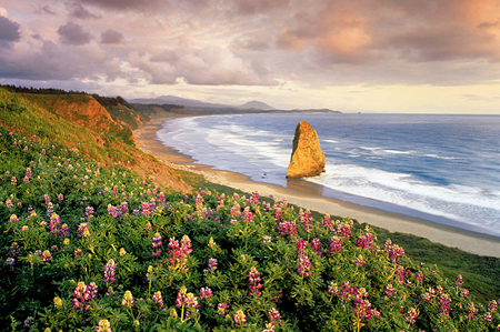 Destination: Port Orford - Oregon Coast Visitors Association