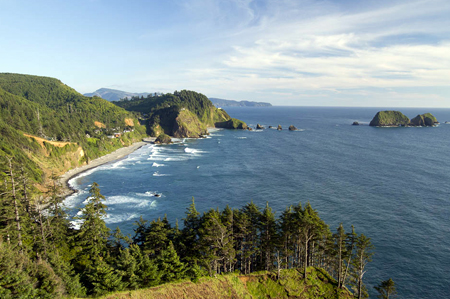 Winter Whale-Watching on the Coast - Oregon Coast Visitors Association