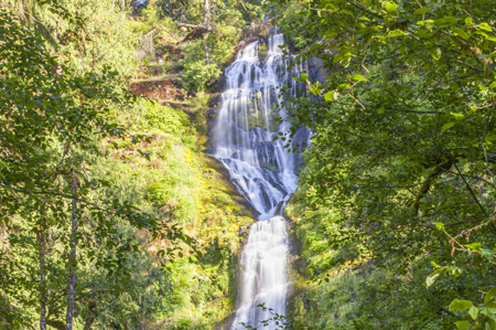 Waterfalls and Winter Hikes - Oregon Coast Visitors Association