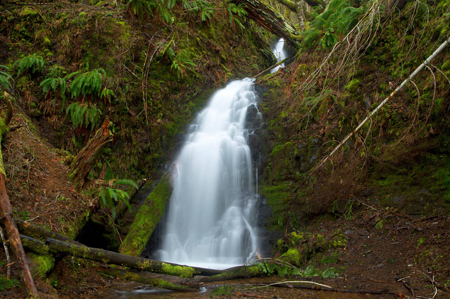 North Coast Waterfall Hikes - Oregon Coast Visitors Association