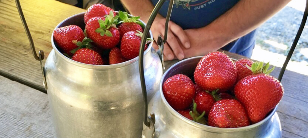 The Berry Byway - Oregon Coast Visitors Association