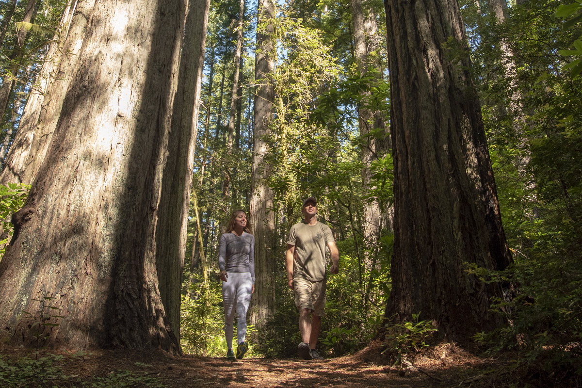 5 Winter Forest Walks on the Oregon Coast - Oregon Coast Visitors ...