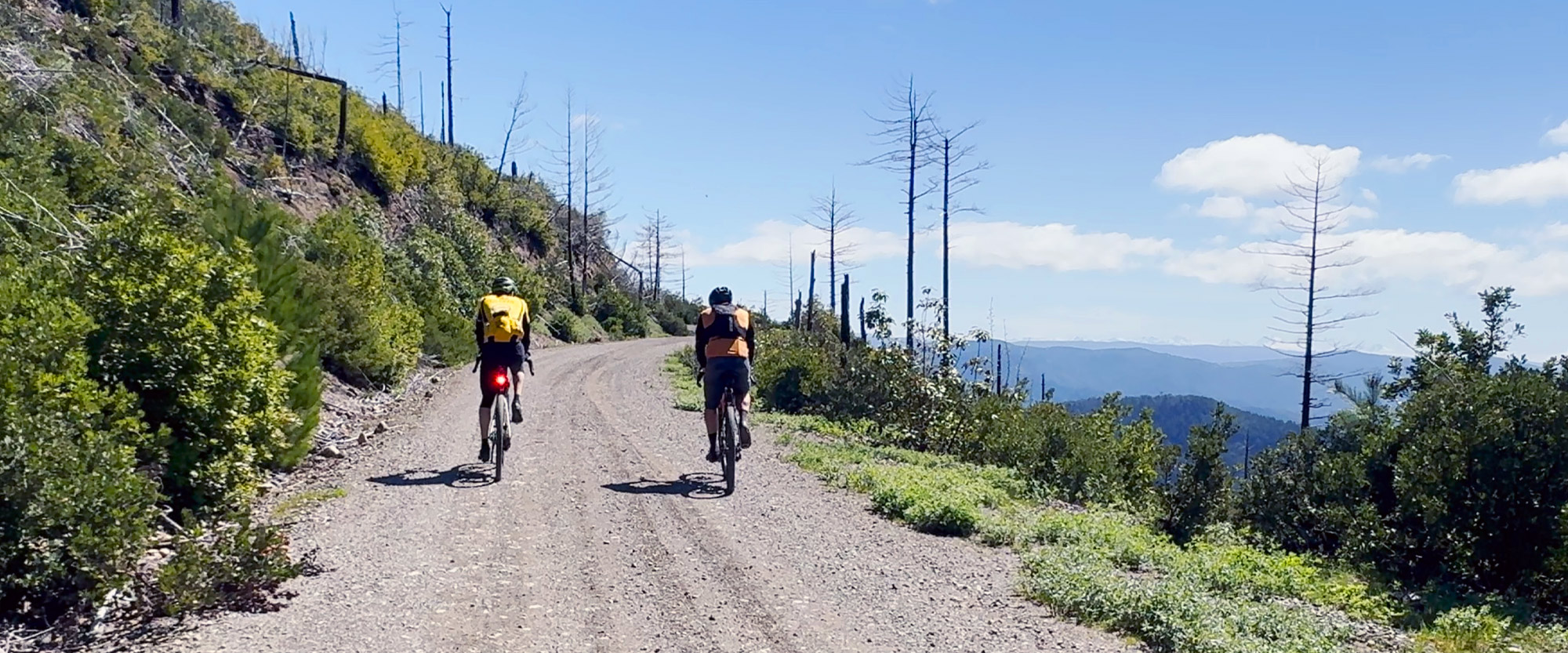 Gravel Biking on the Oregon Coast - Oregon Coast Visitors Association