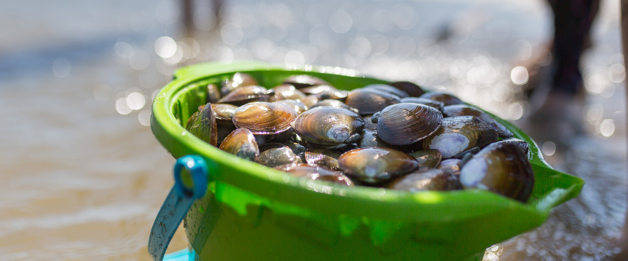 Clamming Adventures on the Oregon Coast - Oregon Coast Visitors Association