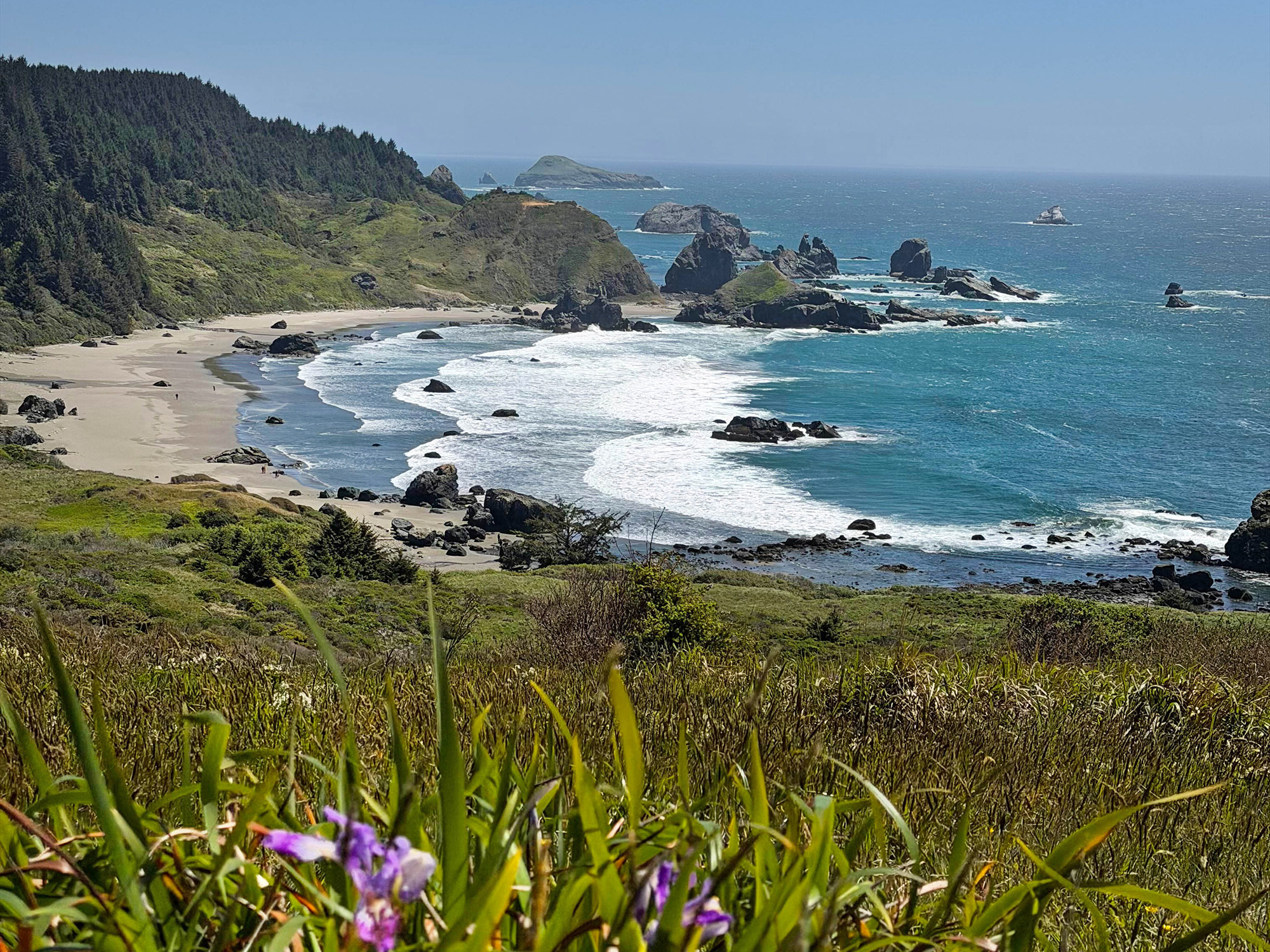 The Ultimate Southern Oregon Coast Road Trip - Oregon Coast Visitors ...